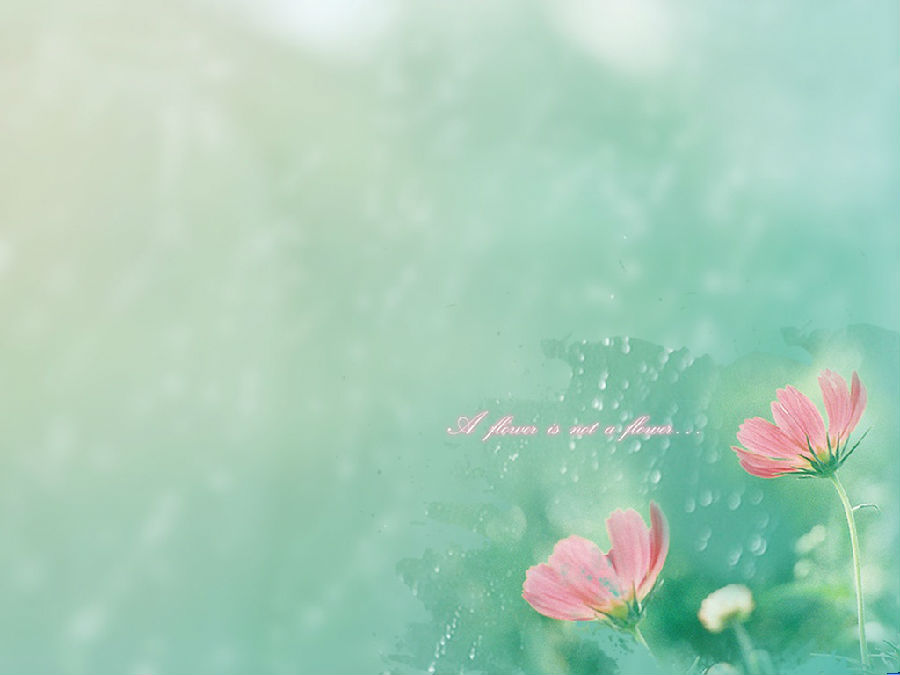 ppt背景图片一套-千图网